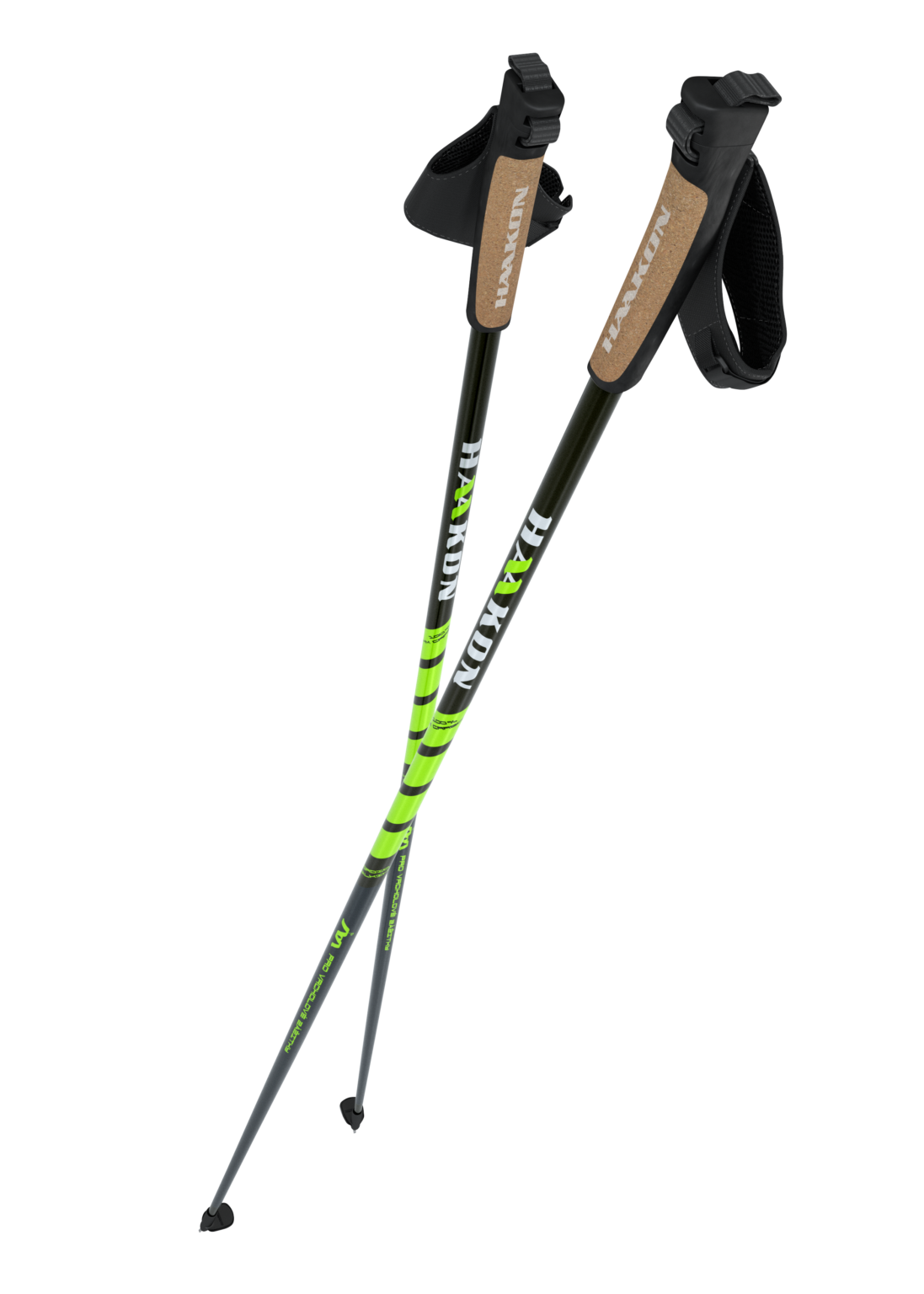 České hole na běžky a Nordic walking